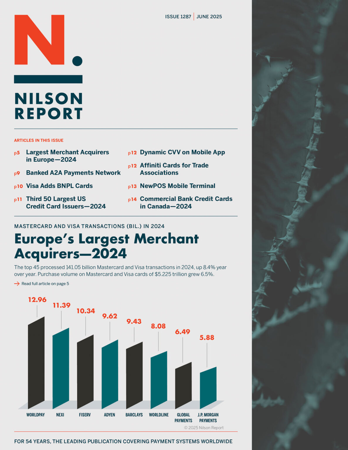 Third 50 Largest US Credit Card Issuers—2024 - Nilson Report